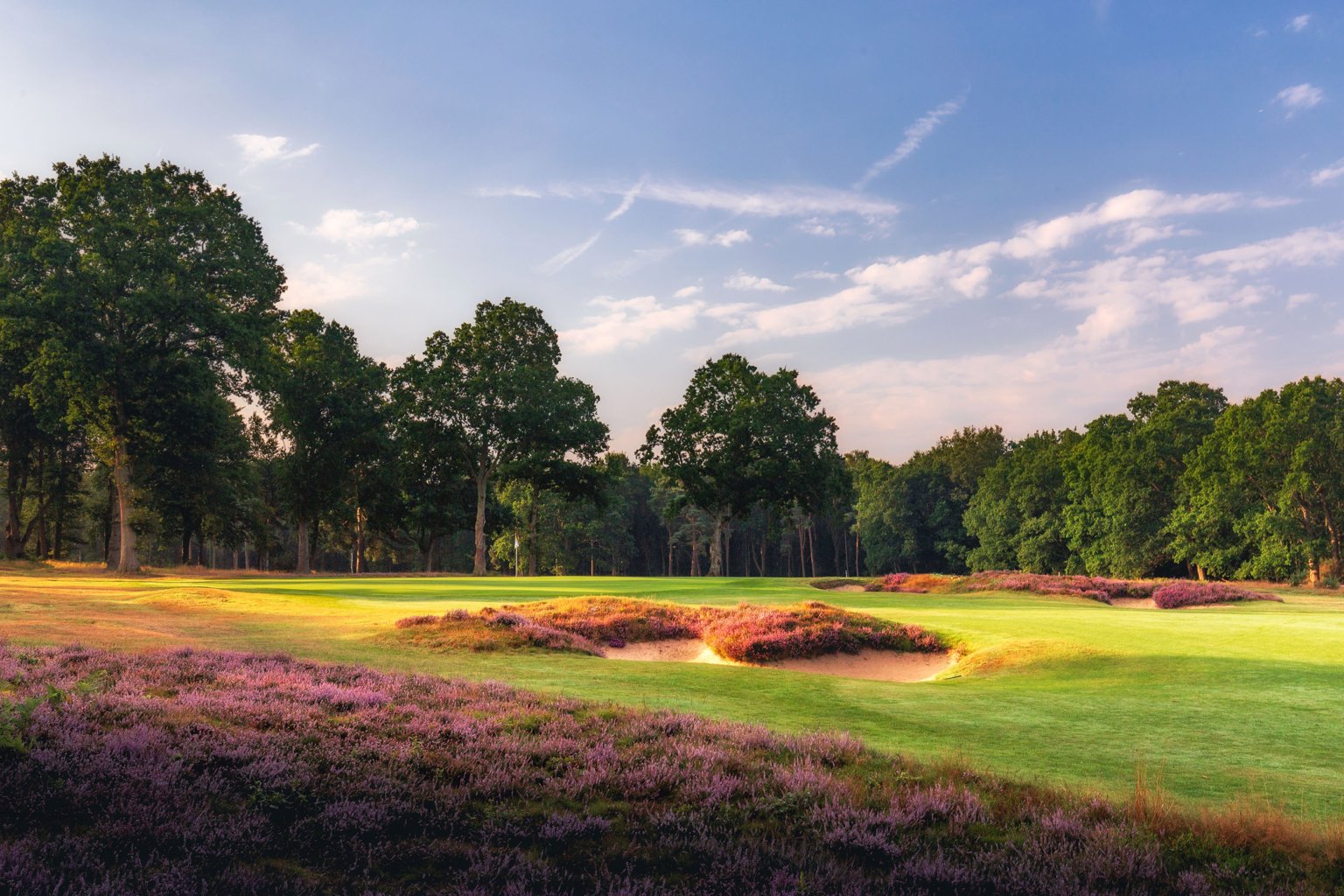 Hole 8 – Woking Golf Club